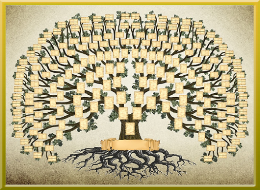 Šablony - vývod 2 - RODOKMENY